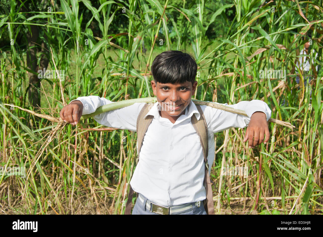 1 indian rural child boy farm enjoy Stock Photo - Alamy