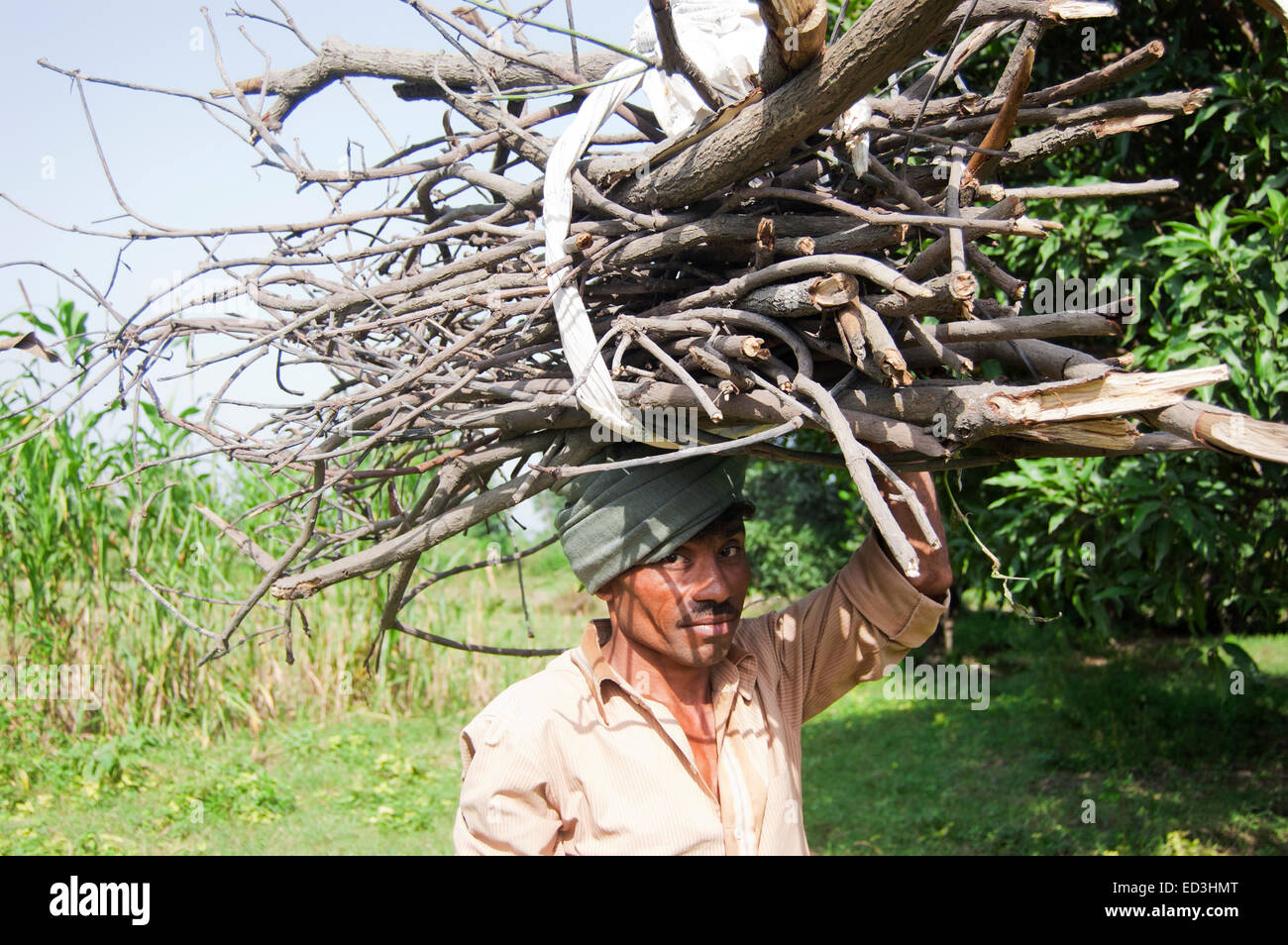 1 indian rural farmer man field Working Stock Photo - Alamy