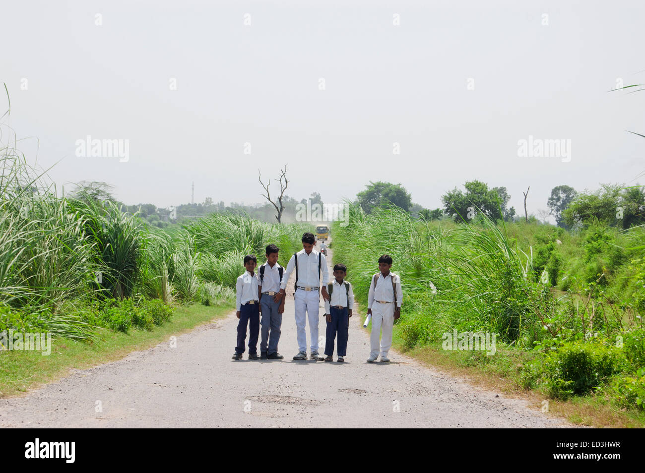 Family portrait people family portraits landscape color family portrait ...