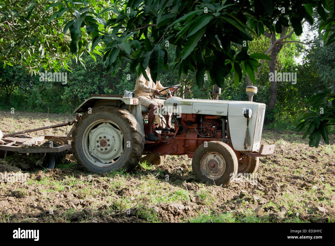 1 rural farmer man farming Tractor Stock Photo - Alamy
