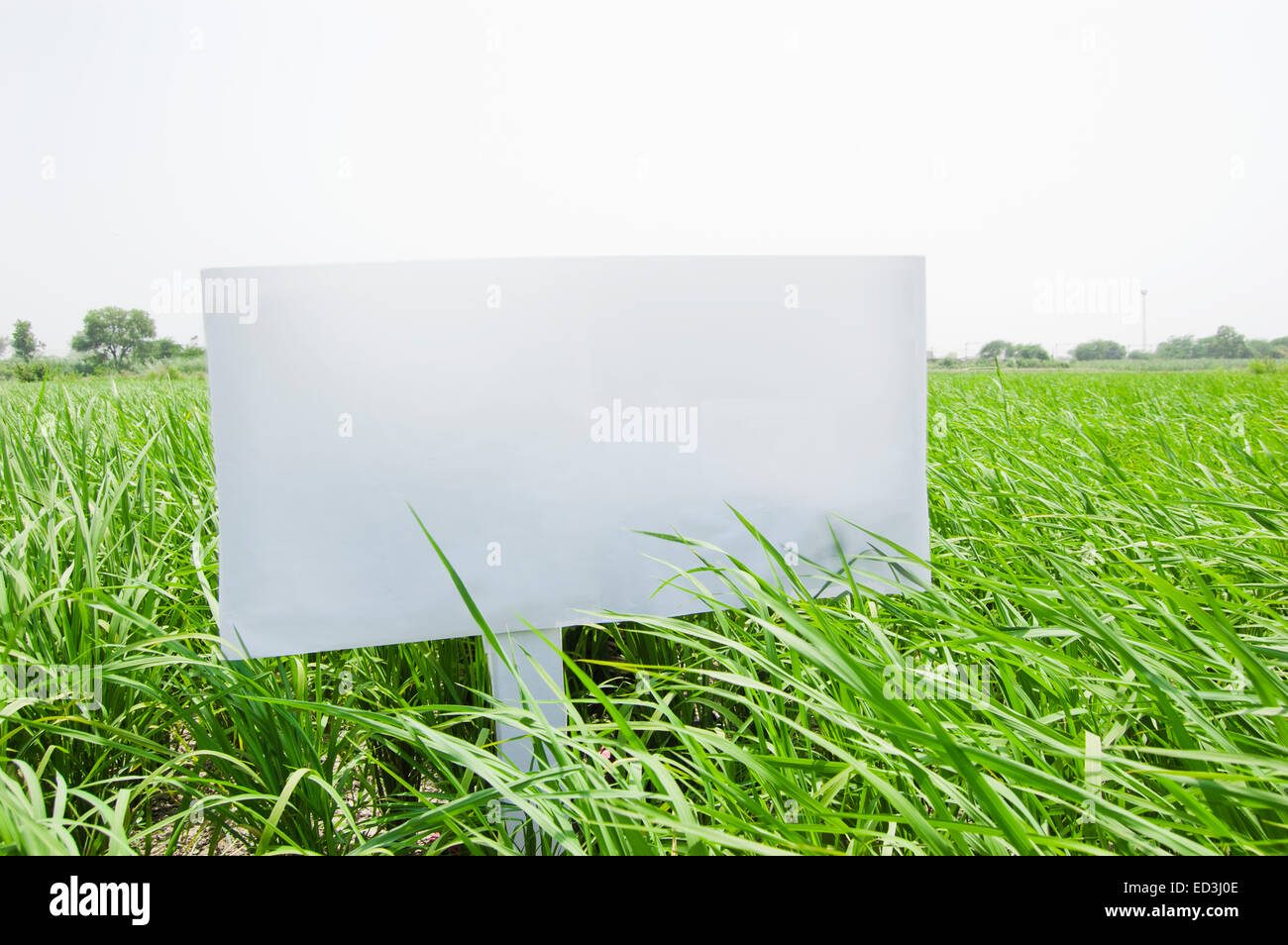 rural village Farm Message Board nobody Stock Photo - Alamy