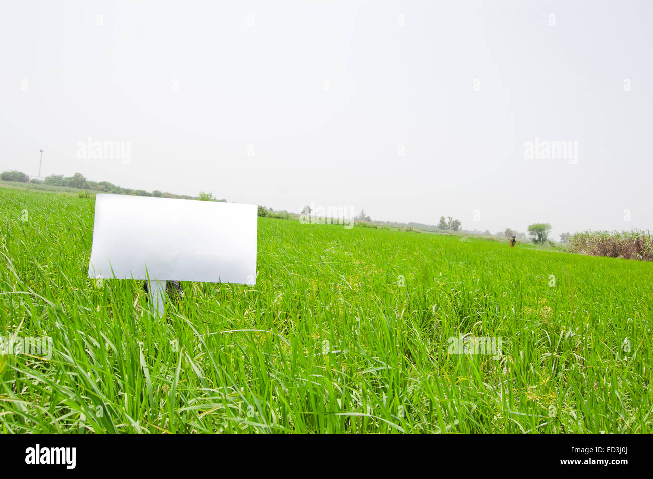 Full colour color horizontal farm hi-res stock photography and images ...