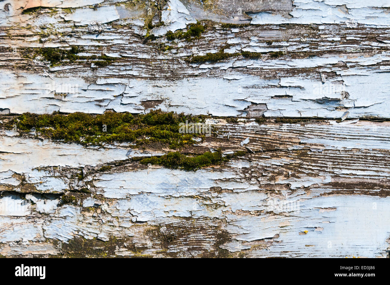 Flaking paintwork hi-res stock photography and images - Alamy