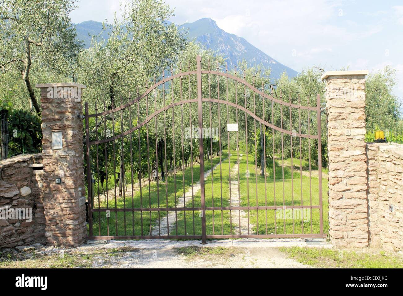 iron gate on a olive grove in Italy Stock Photo - Alamy