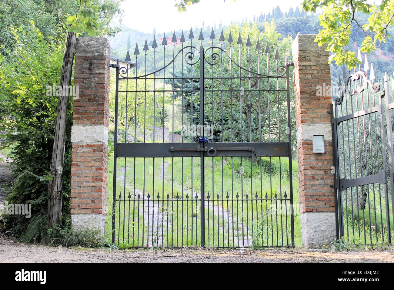 Wrought Iron Olive High Resolution Stock Photography and Images - Alamy