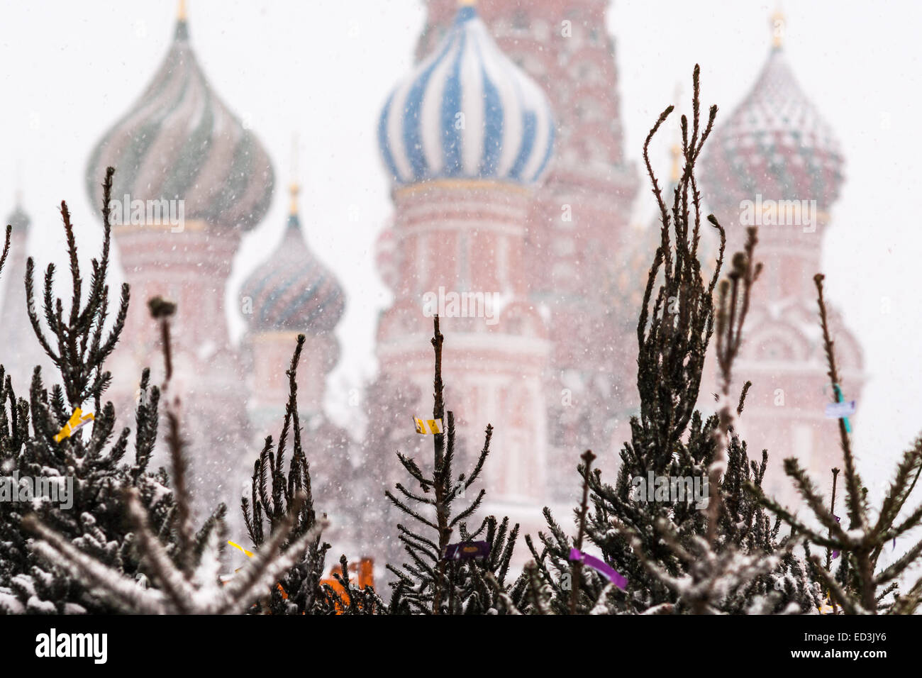 Moscow, Russia. 25th December, 2014. Weather: Heavy snowstorm in Moscow ...