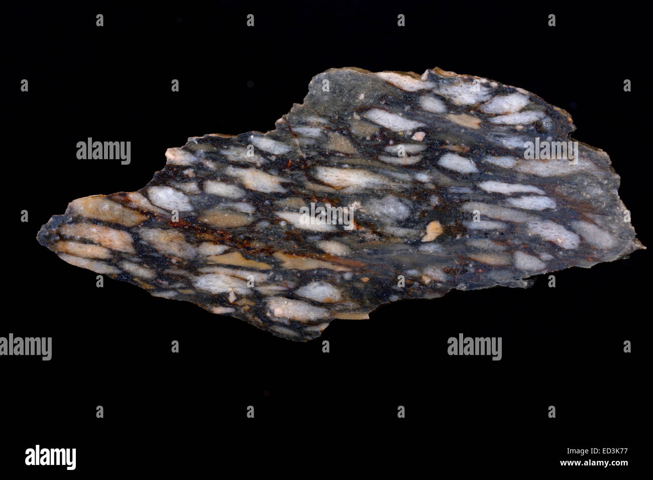 Conglomerate Rock Pebbles