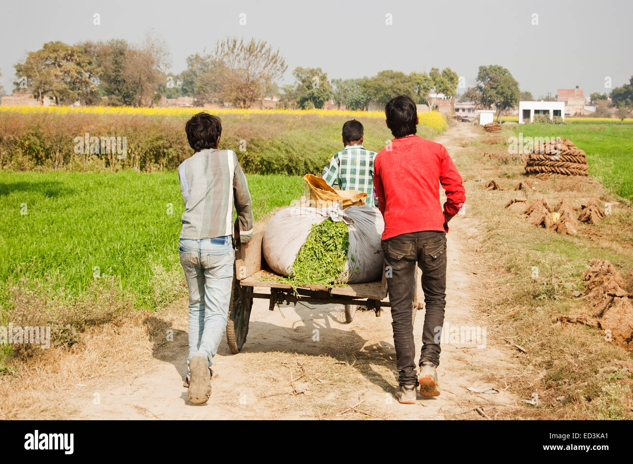Farmer pulling the cart hi-res stock photography and images - Alamy