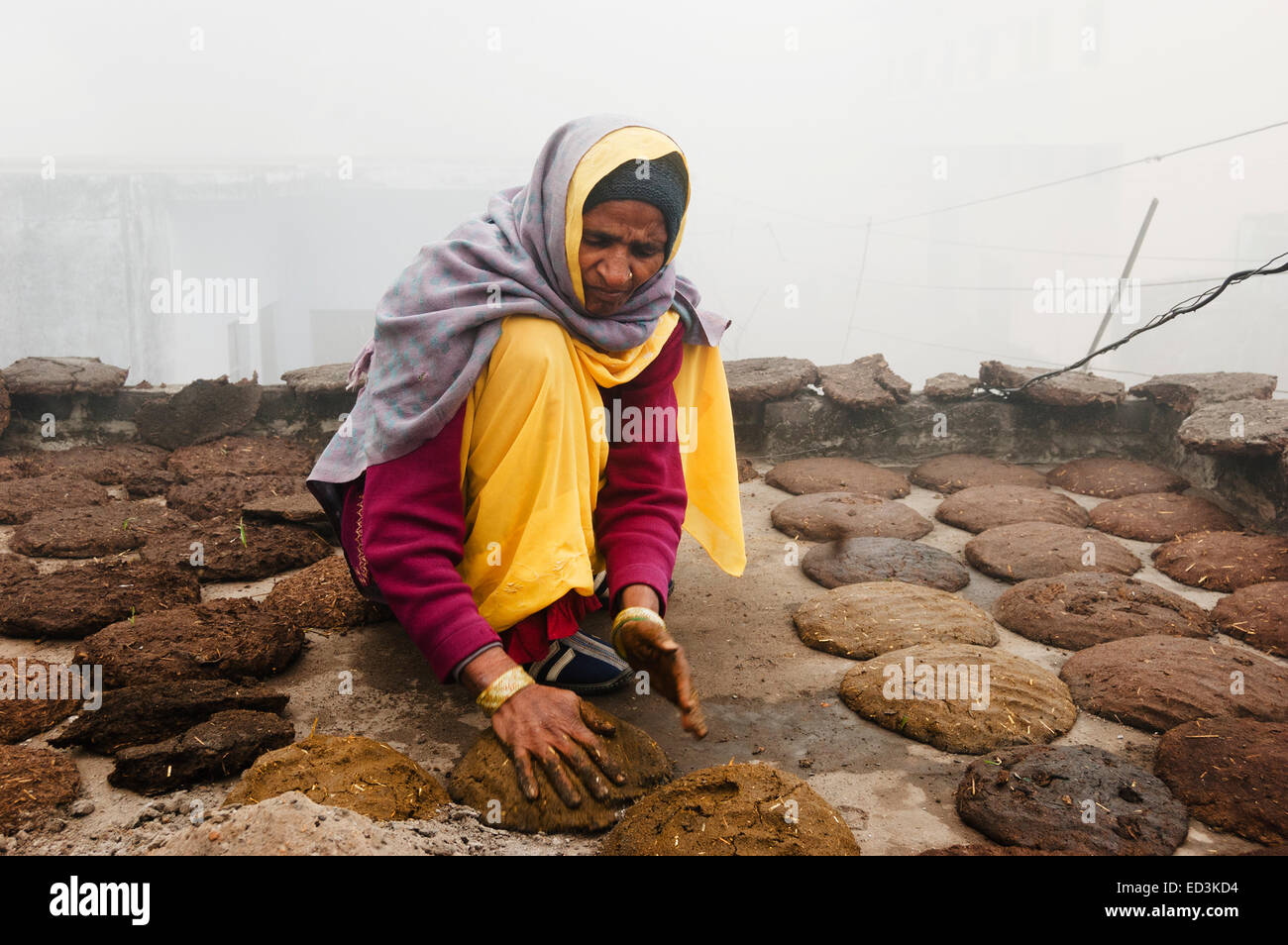 Indian village rural old lady hi-res stock photography and images - Alamy