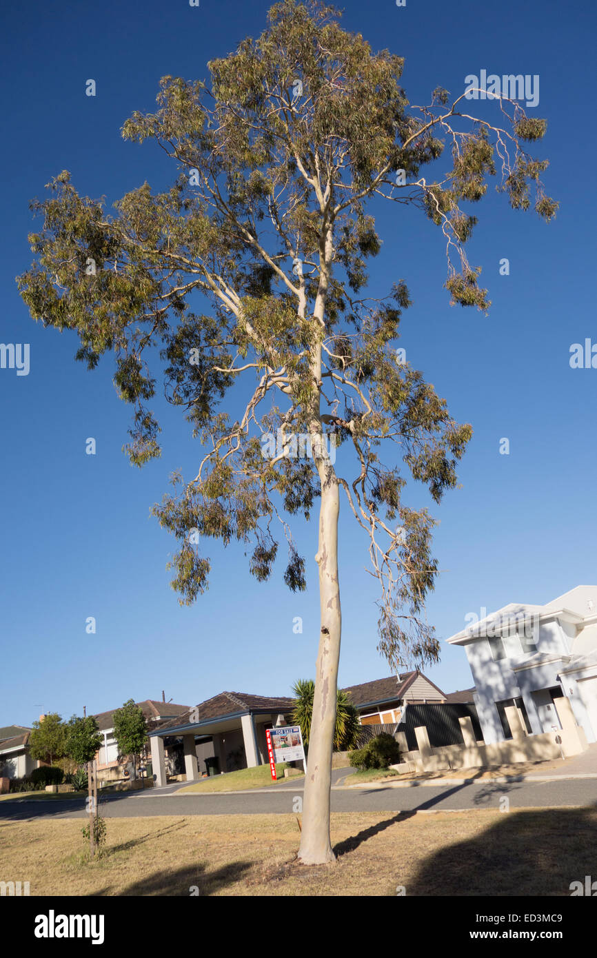 Australian housing complex hi-res stock photography and images - Alamy