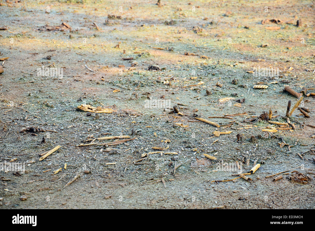 Effects Environmental from Chemicals and heavy metals in soil occur ...