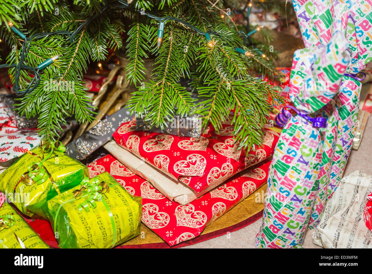 Colourful Xmas presents under a traditional real Christmas tree Stock ...