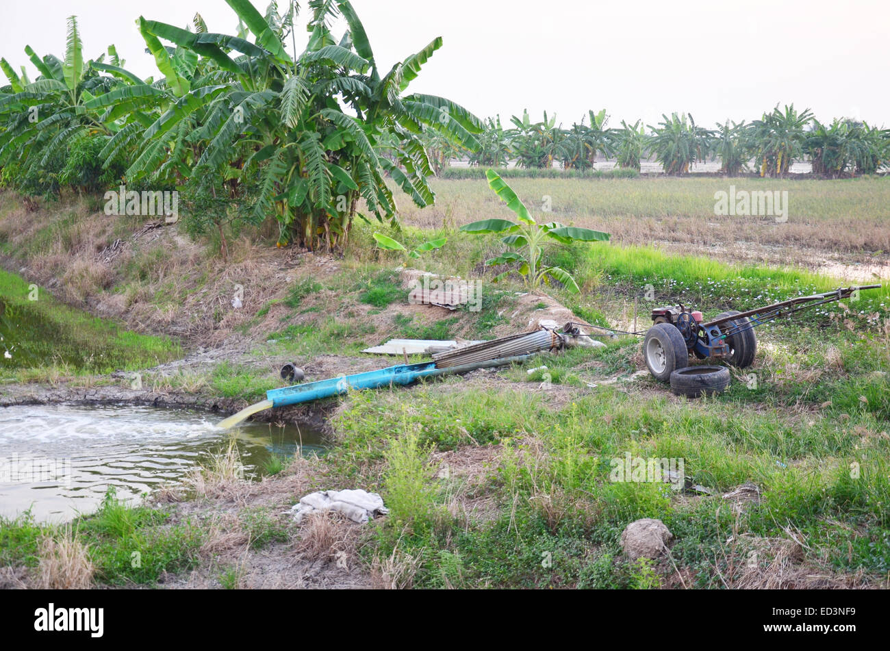 water pump in grow tree crops garden Stock Photo - Alamy
