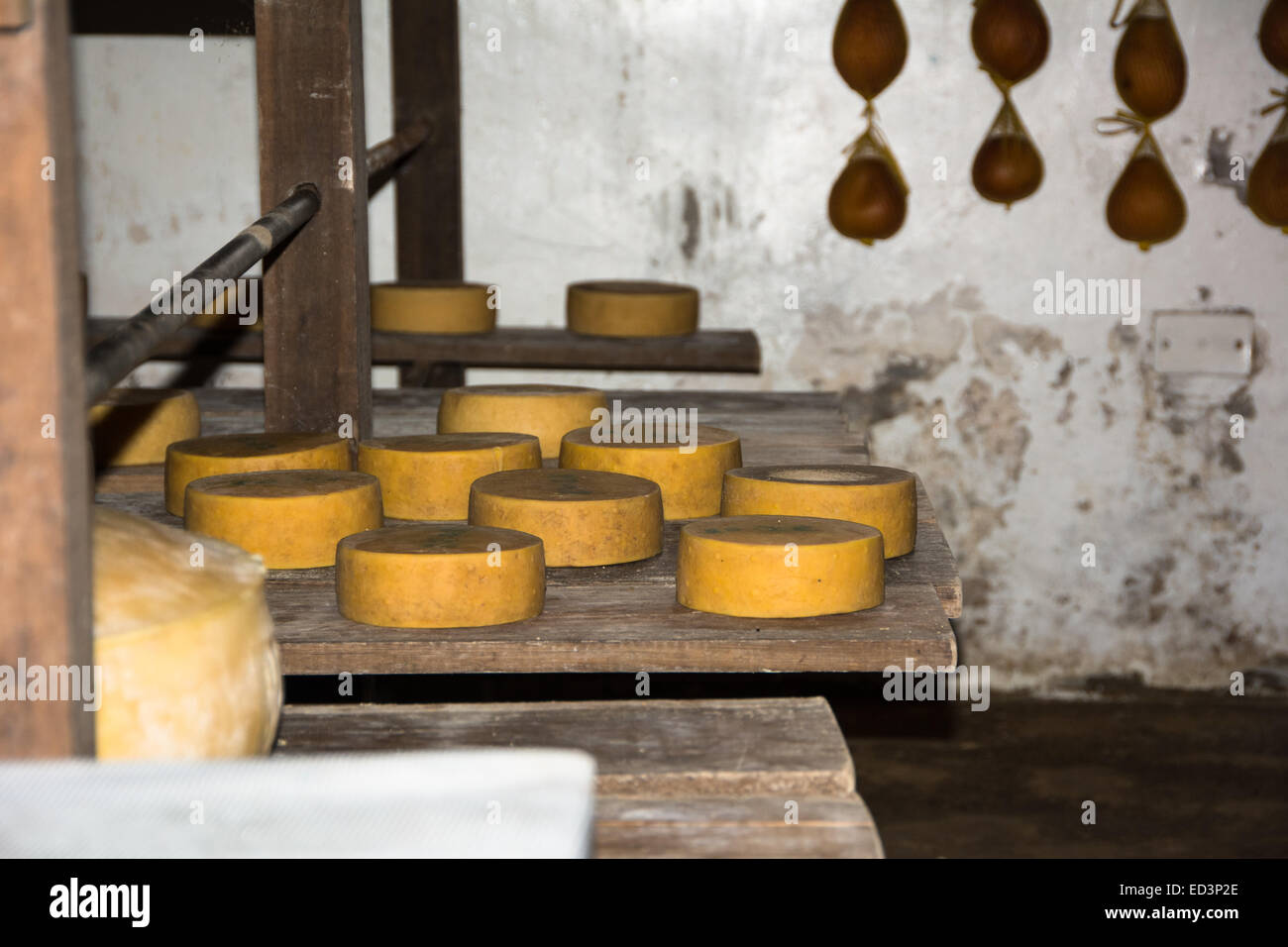 Cheesemaking hi-res stock photography and images - Alamy