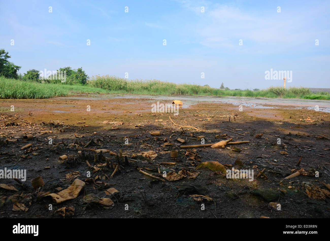 Effects Environmental from Chemicals and heavy metals in soil occur ...