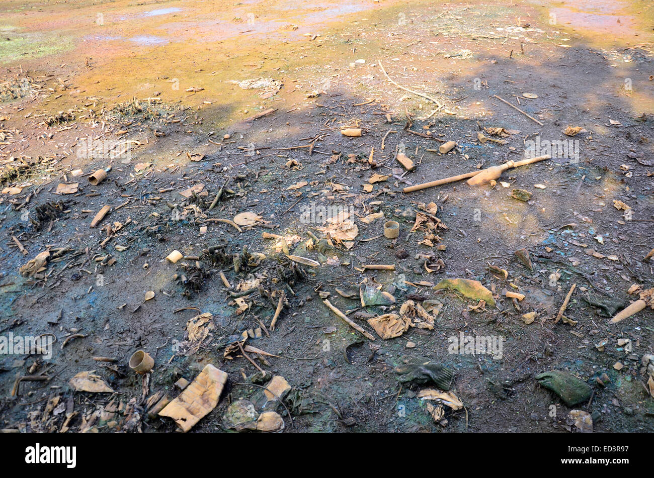 Effects Environmental from Chemicals and heavy metals in soil occur ...