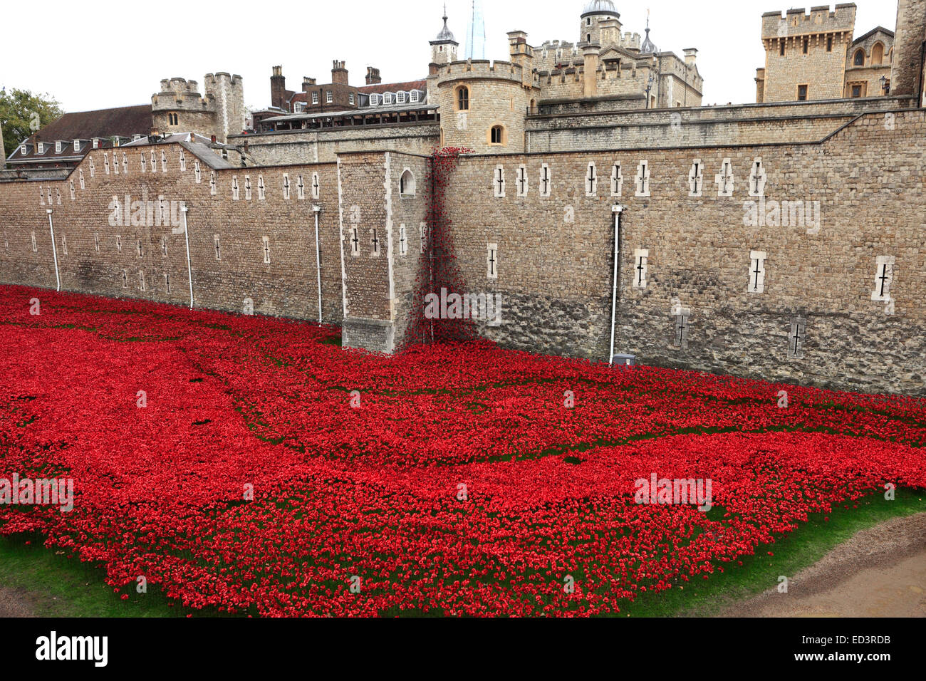 Ceramic Poppy flowers around the exterior of the Tower of London, North ...