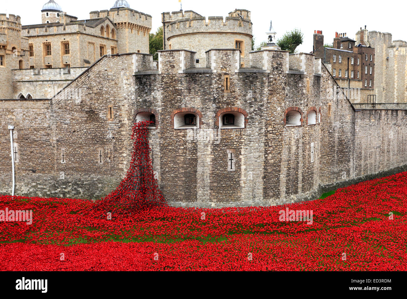 Ceramic Poppy flowers around the exterior of the Tower of London, North ...