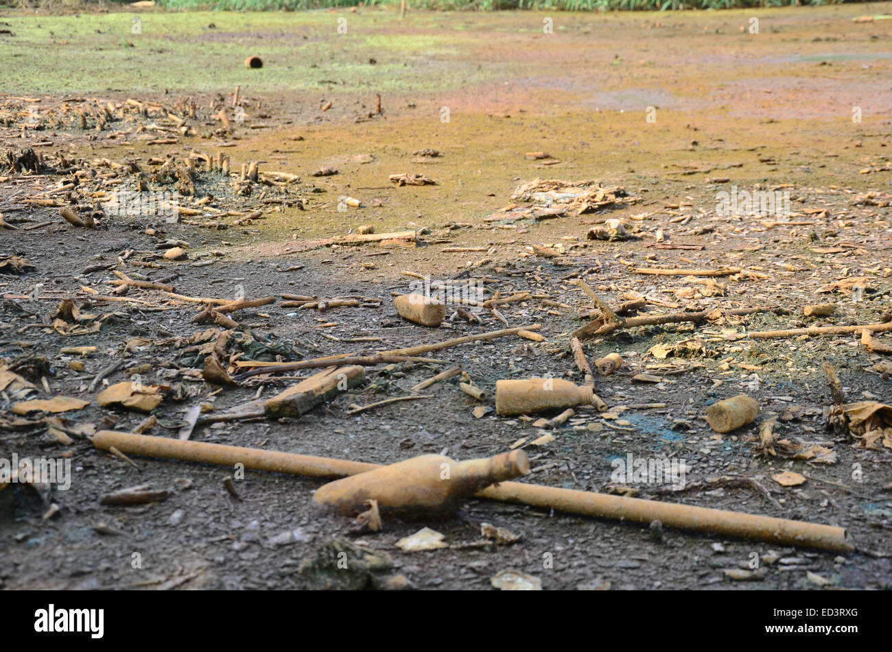 Effects Environmental from Chemicals and heavy metals in soil occur ...