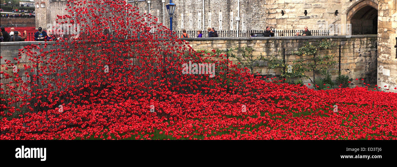 Tower of london poppy river hi-res stock photography and images - Alamy