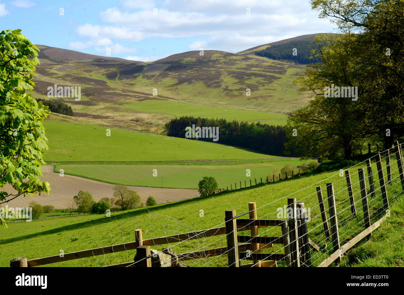 Scotland borders hi-res stock photography and images - Alamy
