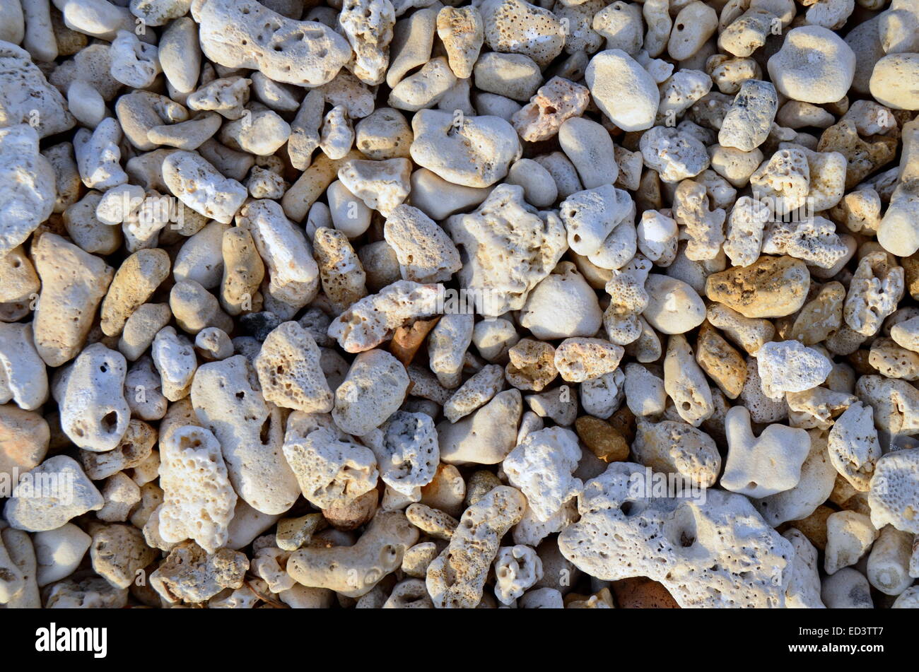 Shoreline texture hi-res stock photography and images - Alamy