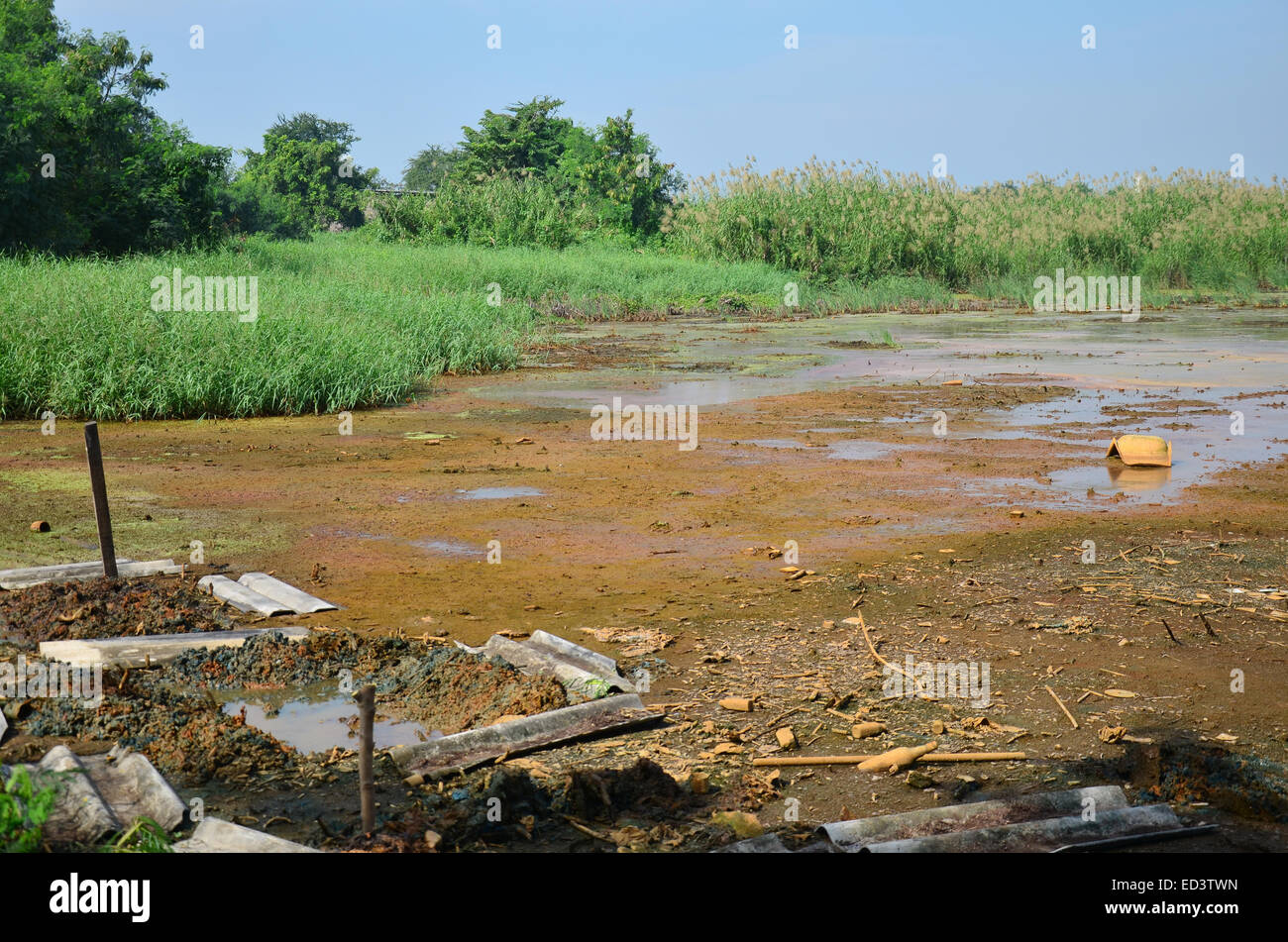Effects Environmental from Chemicals and heavy metals in soil occur ...