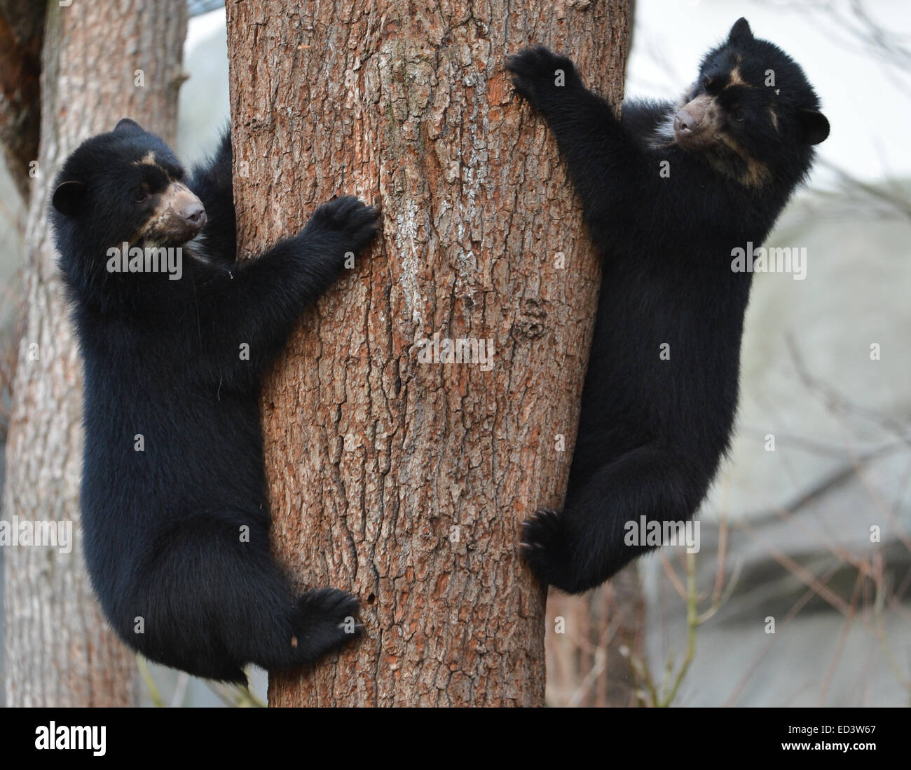 Sonco hi-res stock photography and images - Alamy