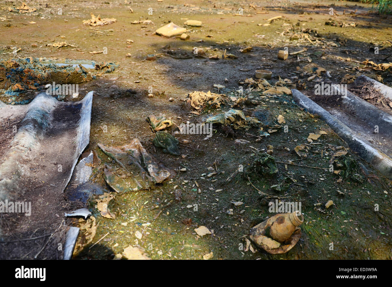 Effects Environmental from Chemicals and heavy metals in soil occur ...