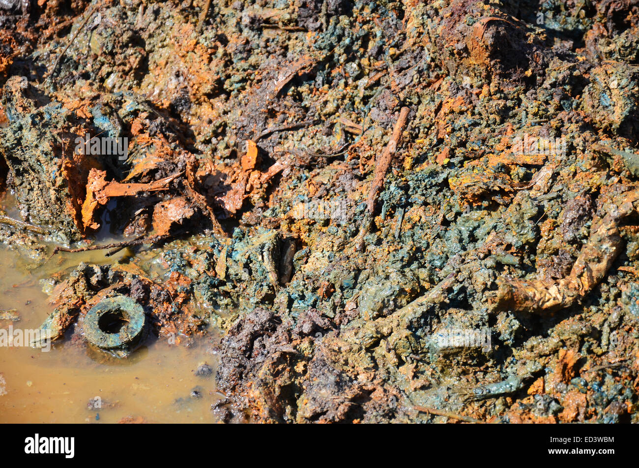 Effects Environmental from Chemicals and heavy metals in soil occur ...