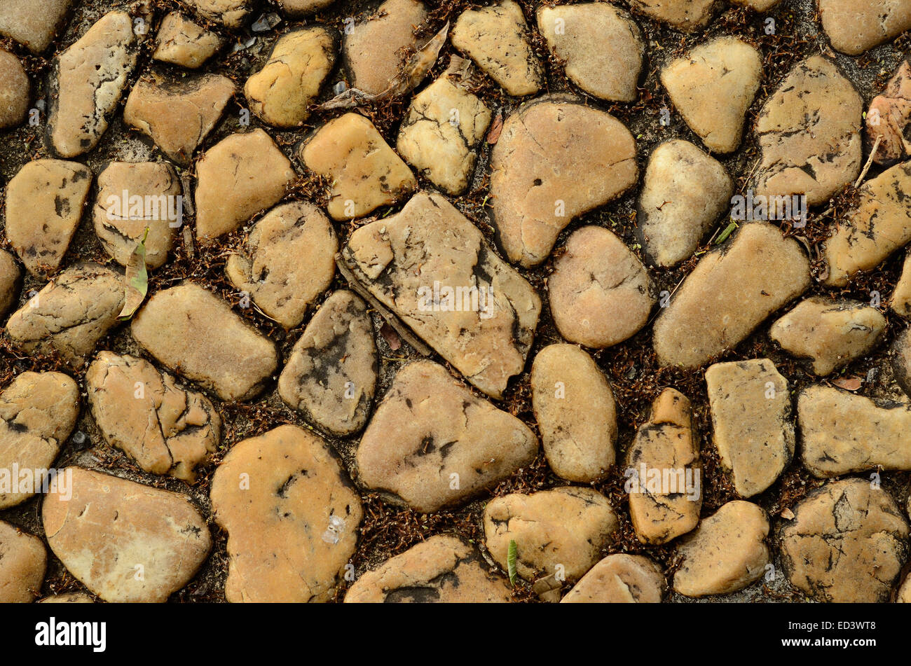 dirty path foot block in the park background texture Stock Photo - Alamy