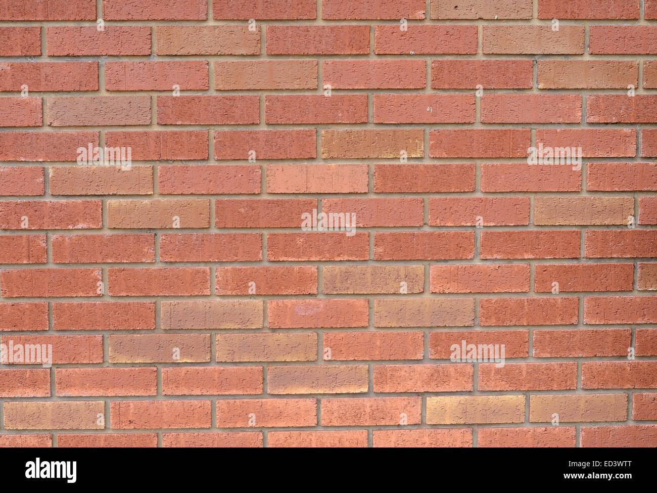 brick wall seamless Vector illustration background - texture pattern ...