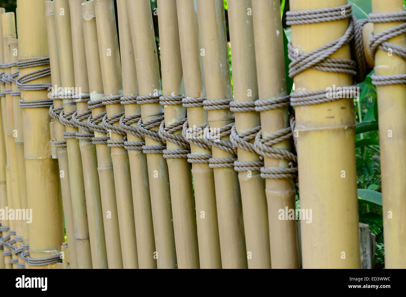 Bamboo Fence High Resolution Stock Photography and Images - Alamy