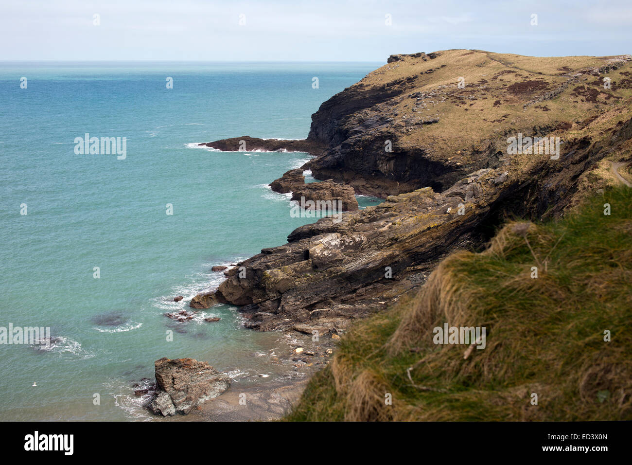 The cliffs near Tintagel, Cornwall, England, UK Stock Photo - Alamy