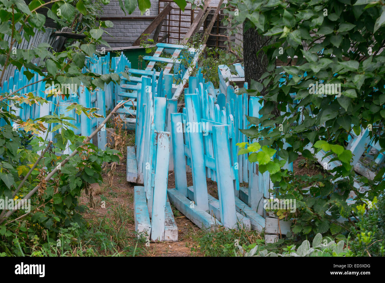 Blue colorful wood fence in a garden ready to fix Stock Photo - Alamy