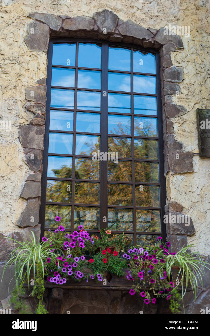 Rustic window with geraniums hi-res stock photography and images - Alamy