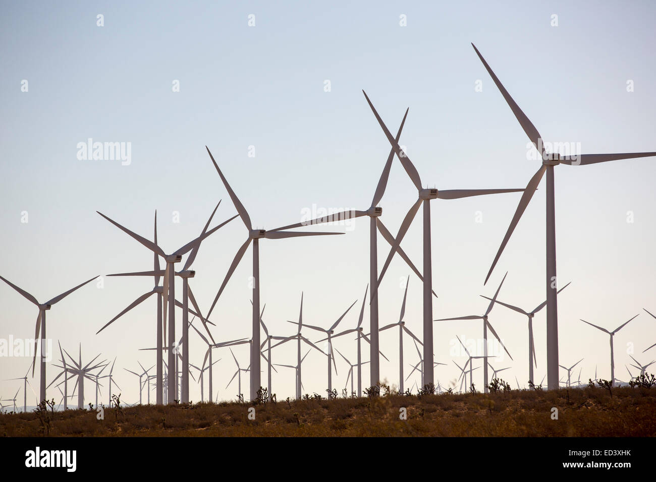 The Tehachapi Pass wind farm, California, USA Stock Photo - Alamy