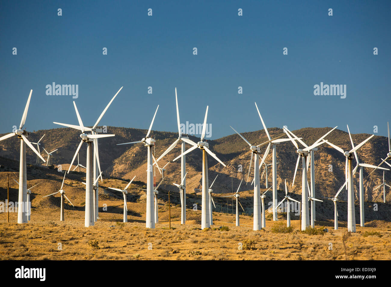 The Tehachapi Pass wind farm, California, USA Stock Photo - Alamy
