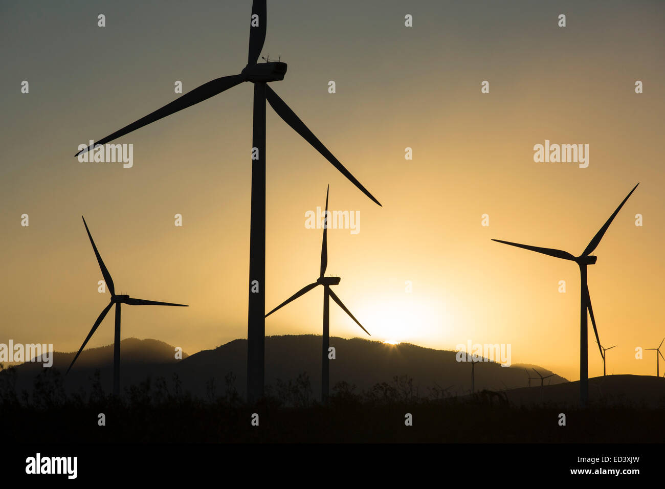 Tehachapi Pass wind farm at dawn, California, USA Stock Photo - Alamy
