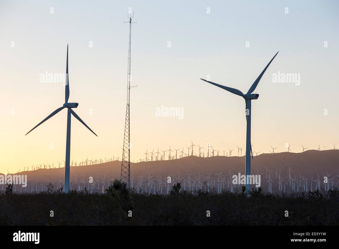 Tehachapi Pass wind farm at dawn, California, USA Stock Photo - Alamy
