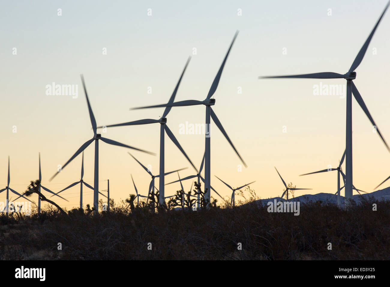 Tehachapi Pass wind farm at dawn, California, USA Stock Photo - Alamy