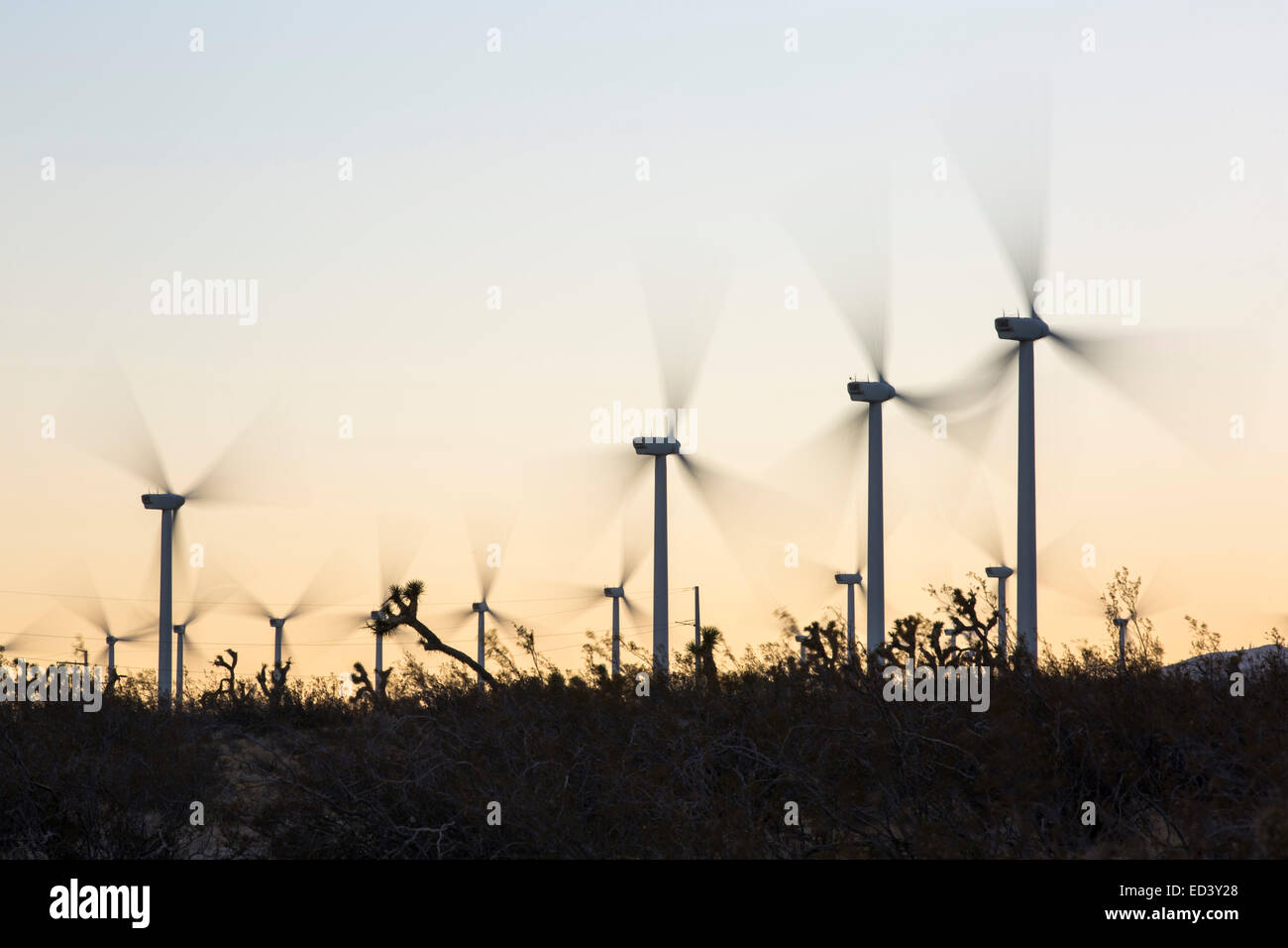 Tehachapi Pass wind farm at dawn, California, USA Stock Photo - Alamy