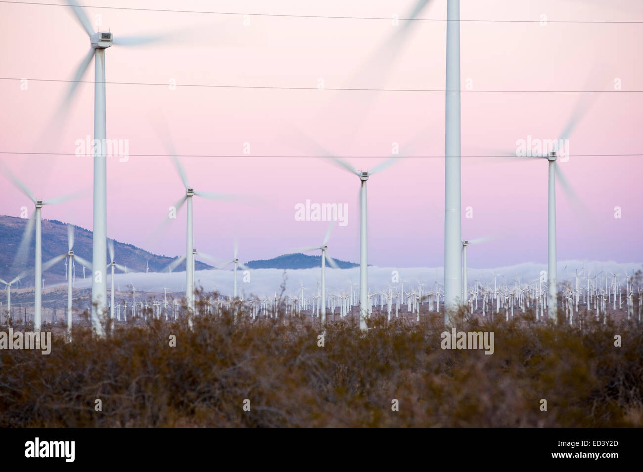 Tehachapi Pass wind farm at dawn, California, USA Stock Photo - Alamy