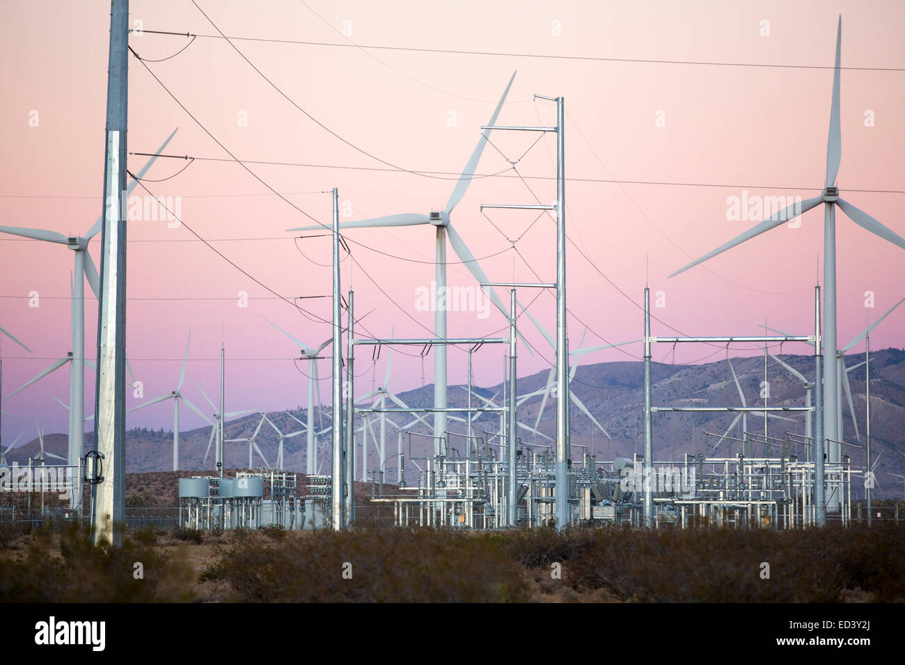 Tehachapi Pass wind farm at dawn, California, USA Stock Photo - Alamy