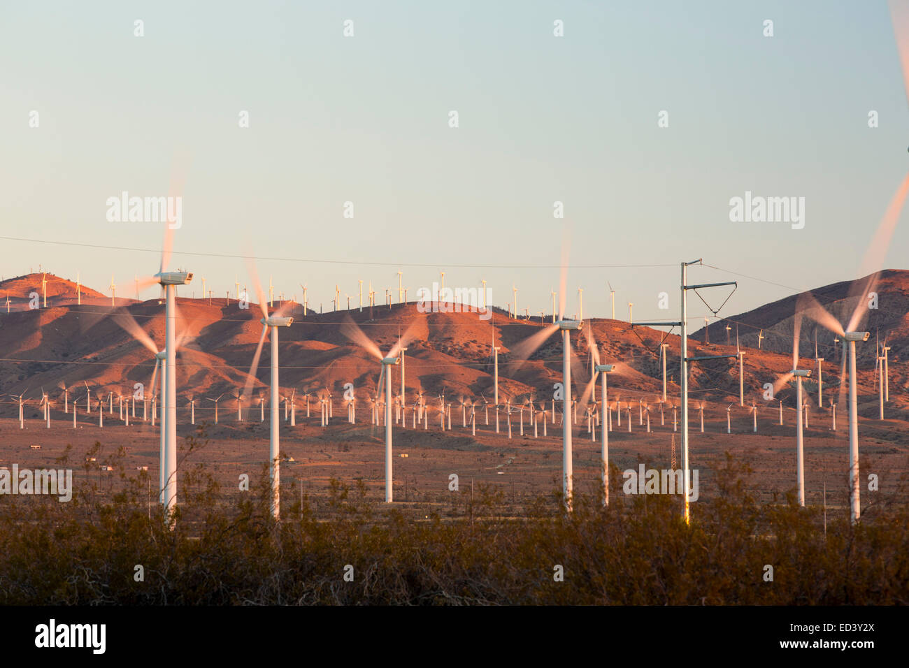 Tehachapi Pass wind farm at dawn, California, USA Stock Photo - Alamy