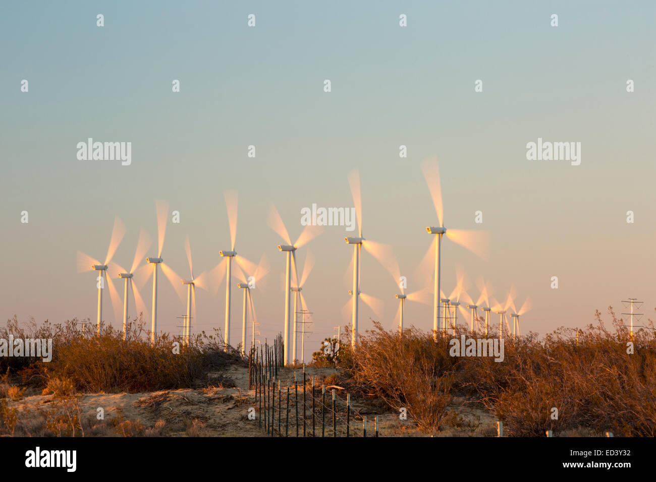 Tehachapi Pass wind farm at dawn, California, USA Stock Photo - Alamy