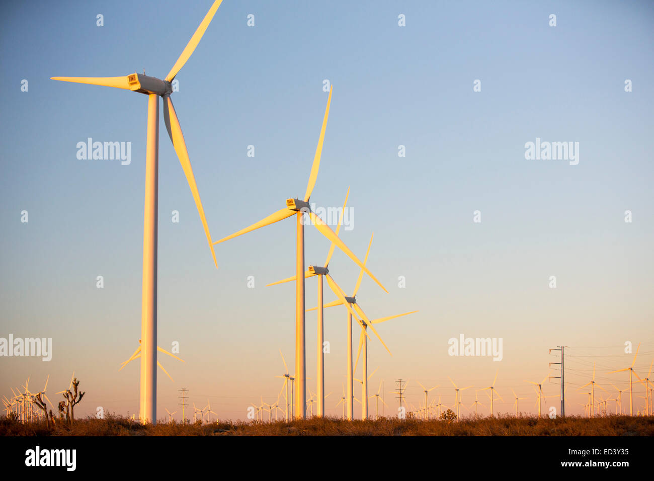 Tehachapi Pass wind farm at dawn, California, USA Stock Photo - Alamy