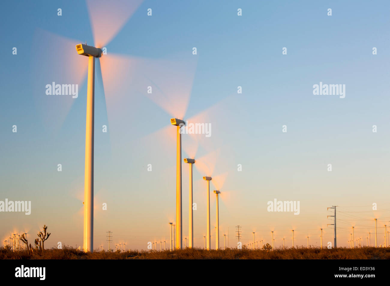 Tehachapi Pass wind farm at dawn, California, USA Stock Photo - Alamy