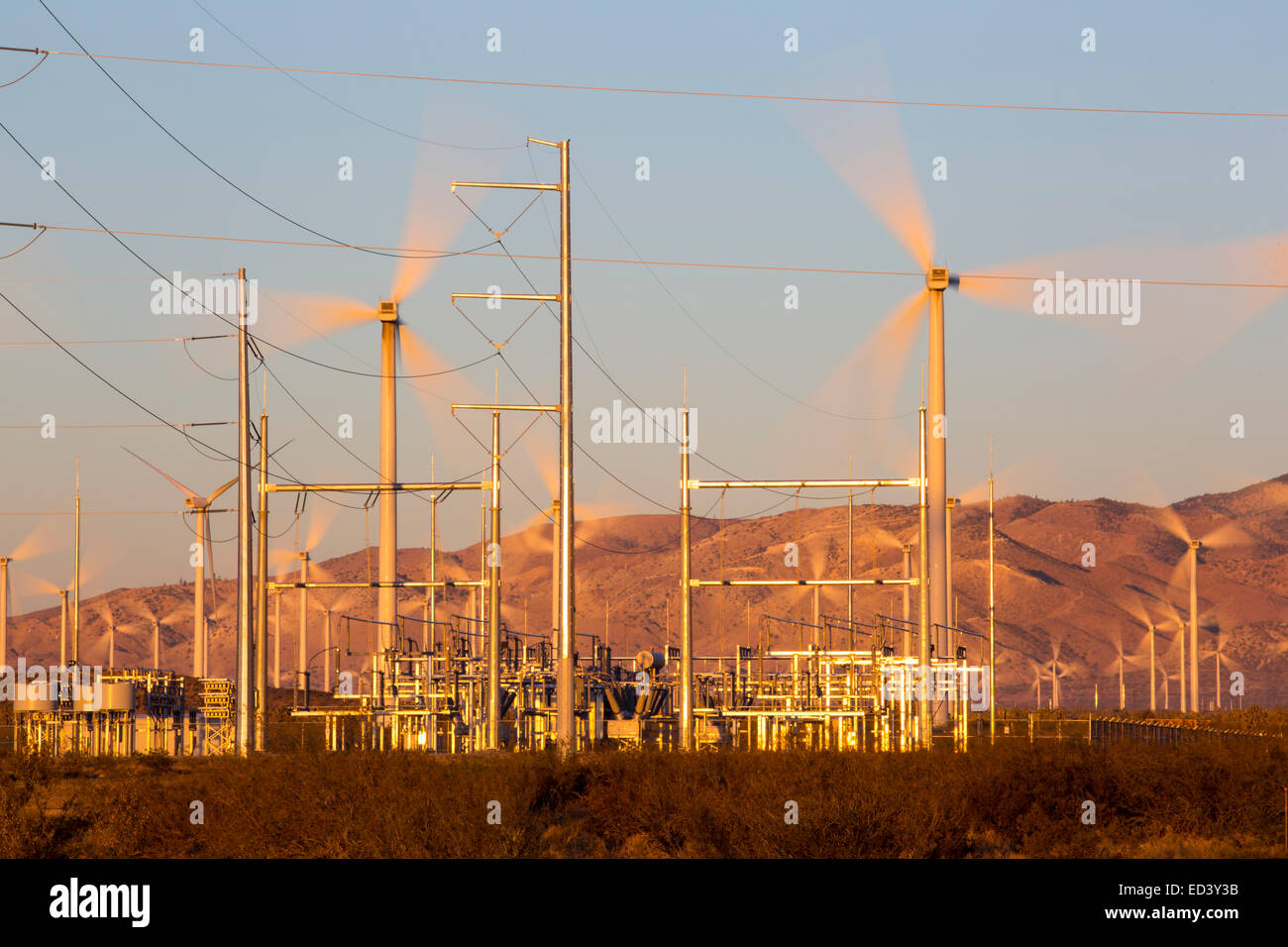 Tehachapi Pass wind farm at dawn, California, USA Stock Photo - Alamy