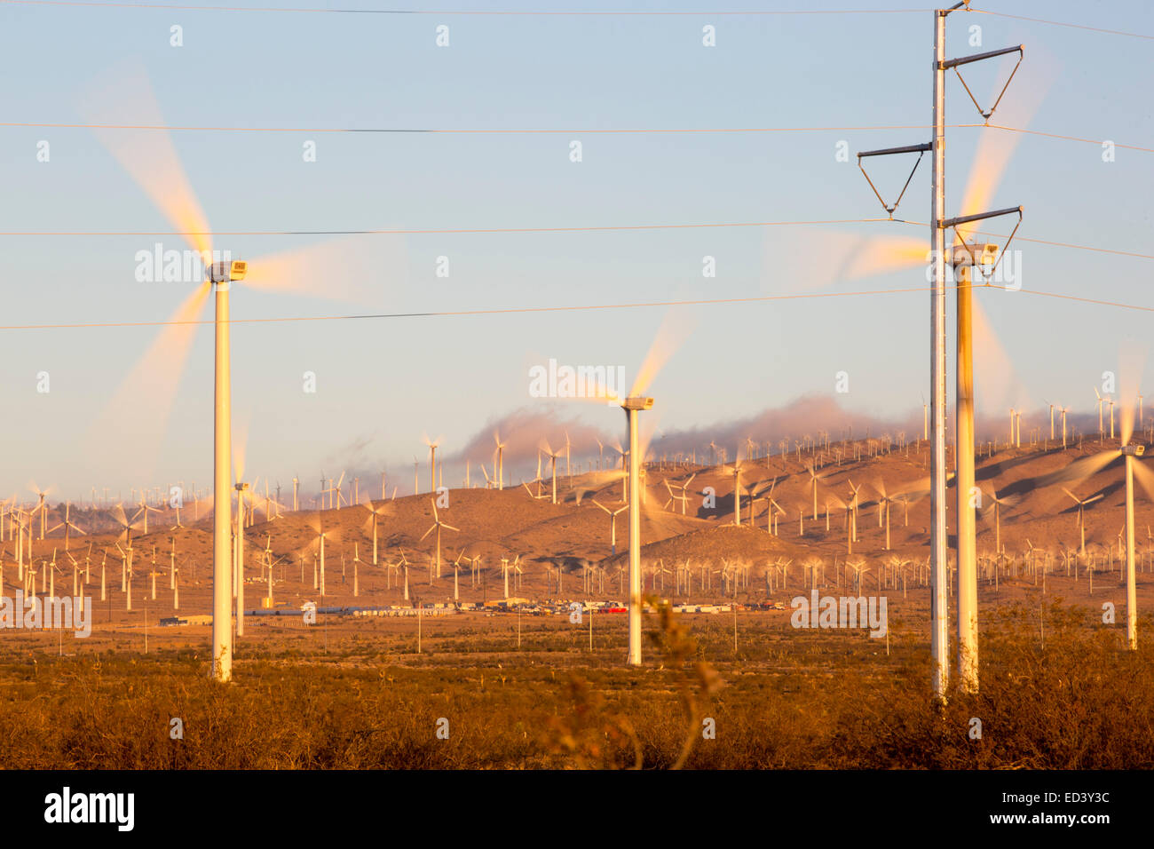 Tehachapi Pass wind farm at dawn, California, USA Stock Photo - Alamy